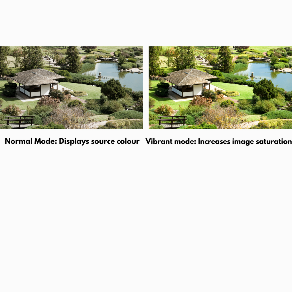 4MP hemispherical audio night vision full-color network Camera ...